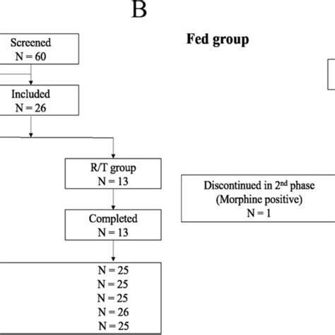 Participant Disposition Ss Safety Analysis Set Bes Bioequivalence Download Scientific