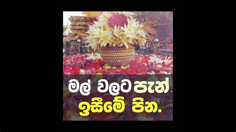 🌼🌼🌼මල් වලට පැන් ඉසීමේ පින 🌸🌸🌸 Youtube