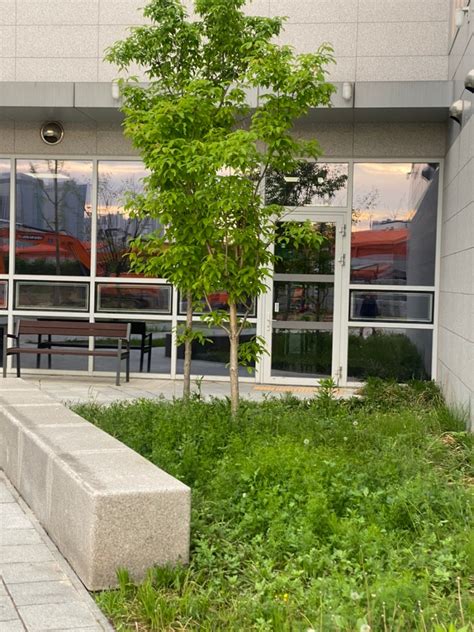 수영장 이용방법 화성 동탄 수영장 체육관 대관 강습 추천 네이버 블로그