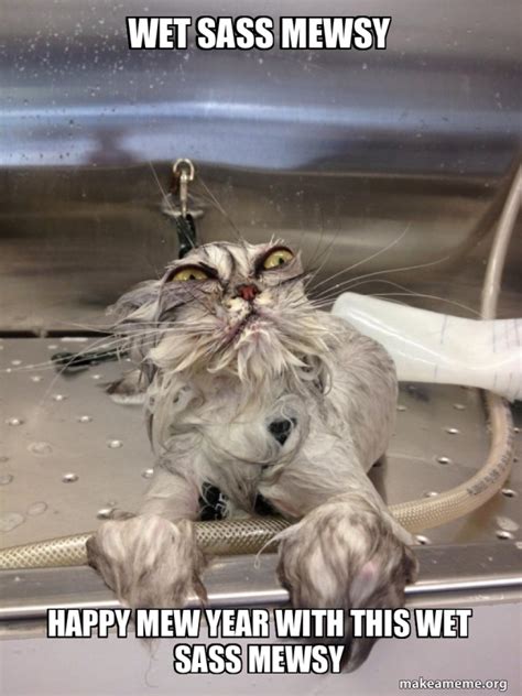 Wet Sass Mewsy Happy Mew Year With This Wet Sass Mewsy Cat Bath