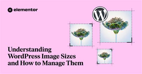 Understanding Wordpress Image Sizes And How To Manage Them