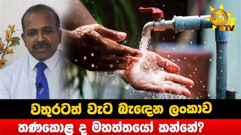 වතුරටත් වැට බැඳෙන ලංකාව තණකොළ ද මහත්තයෝ කන්නේ Hiru News Youtube