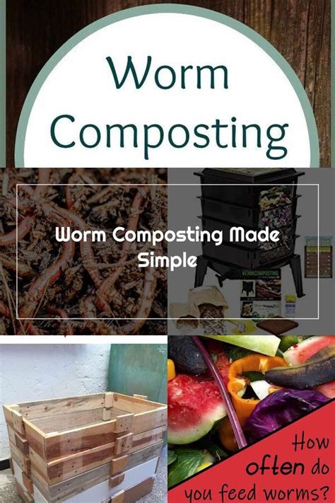 Worm Composting Made Simple