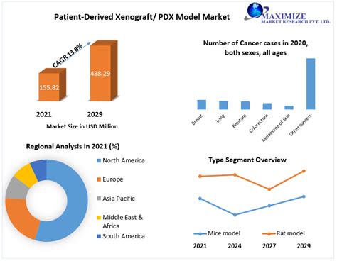 pdx model market global overview and forecast 2022 2029