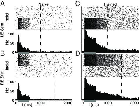 Rde With Stochastic Spiking Neurons Each Subplot Shows A Raster Plot Download Scientific