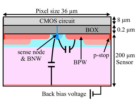 Schematic Picture Of The Sense Node Capacitance Of XRPIX With PDD Download Scientific Diagram