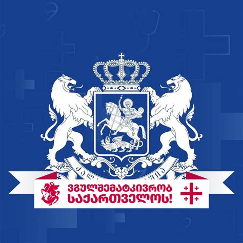 დევნილთა შრომის ჯანმრთელობისა და სოციალური დაცვის სამინისტრო Tbilisi