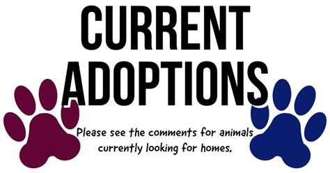 Boght Veterinary Clinic Cohoes Ny