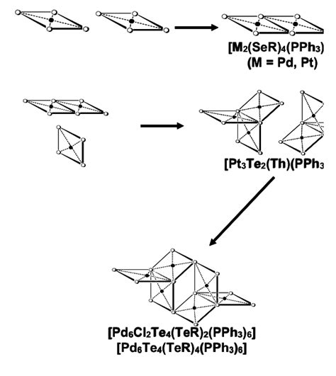 The Structural Relationships Between The Mononuclear Dinuclear