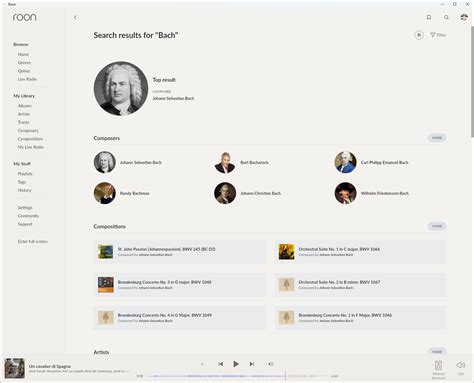 Roon Search Error Message [ticket In] Early Access Roon Labs Community