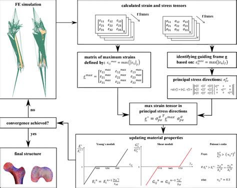 Key Steps In Updating The Orthotropic Material Properties And Download Scientific Diagram