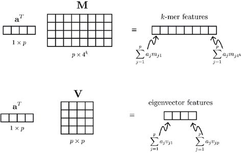 Schematic Of How K Mer Features Top And Eigenvector Features Bottom Download Scientific