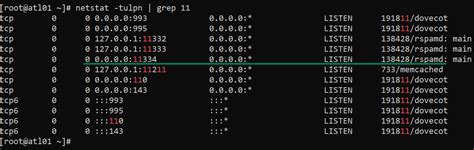 How To Access RSPAMD GUI On CyberPanel