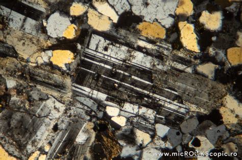 Plagioclase Microscope
