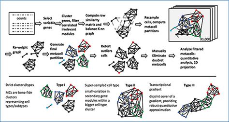 Metacell Analysis Of Single Cell Rna Seq Data Using K Nn Graph