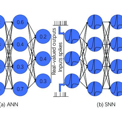 Schematic Representation Of ANN And SNN Download Scientific Diagram