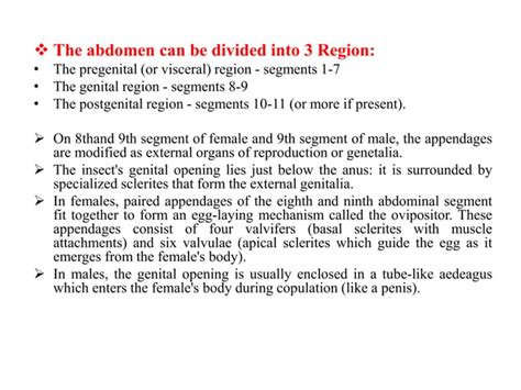 Insect Abdomenits Segmentation And Appendagesstructurefunction And Modification In Different