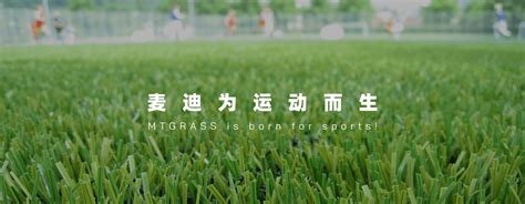 人造草坪参数知识小课堂磅值
