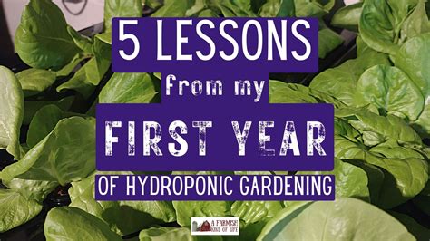 5 Lessons Learned My First Year Of Hydroponic Gardening A Farmish