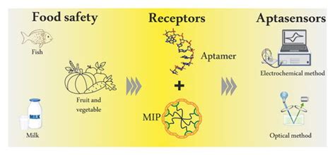 Recent Advancements In Molecularly Imprinted Polymers Based Aptasensors