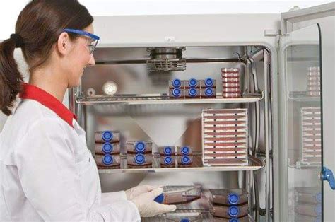 Chamber Freezer Calibration In Singapore Unitestinst