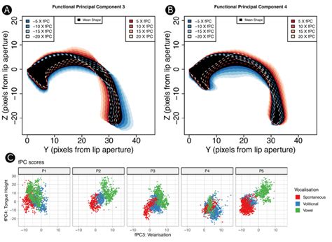 Summary Of First And Second Functional Principal Components Fpcs 3 Download Scientific