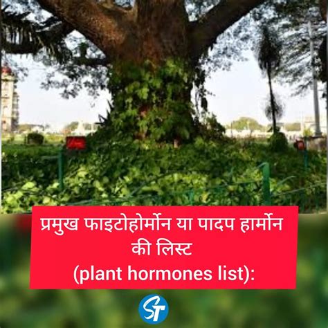 Science Taj On Instagram प्लांट हार्मोन फाइटोहोर्मोन के प्रकार और कार्य Plant Hormone