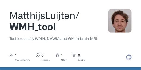 GitHub MatthijsLuijten WMH Tool Tool To Classify WMH NAWM And GM In Brain MRI