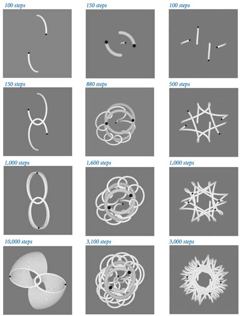 Case Study N Body Simulation
