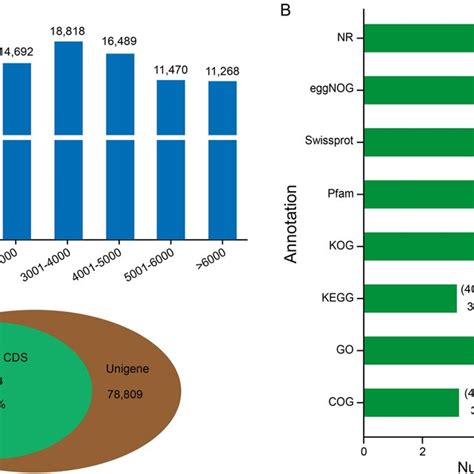 Characteristics Of Full Length Transcriptome Sequencing A Length Download Scientific Diagram