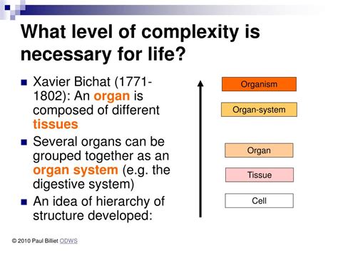 Ppt The Cell Theory Powerpoint Presentation Free Download Id 330455