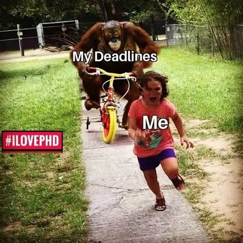 Phd Memes About Research Life Artofit