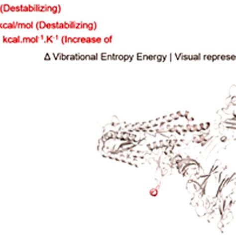 Vibrational Entropy Energy Between Wild Type And Mutant For Mutation