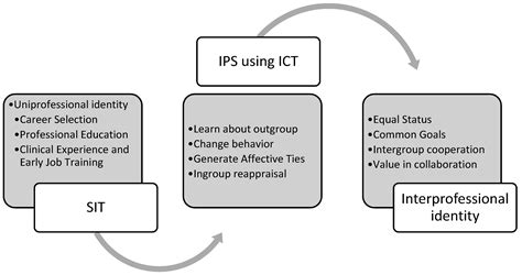 Perceptions Of Interprofessional Identity Formation In Recent Doctor Of