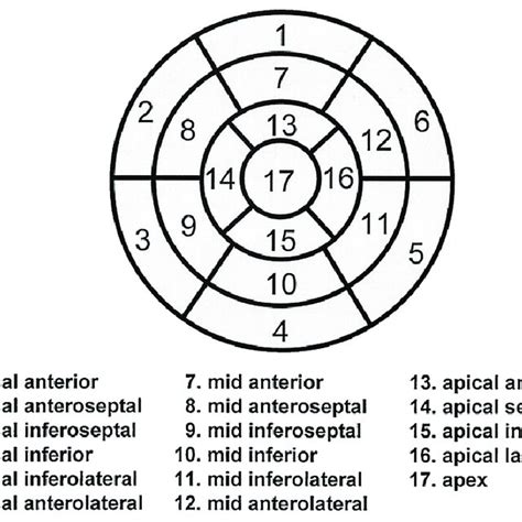 Left Ventricular Segmentation 17 Segment Model 10 Download Scientific Diagram