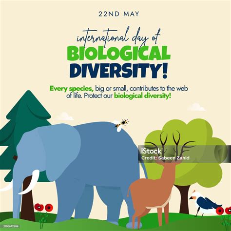 World Day Of Biological Diversity 22nd May 2024 International