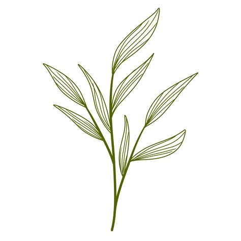 Leave Line Illustration 13399725 Png