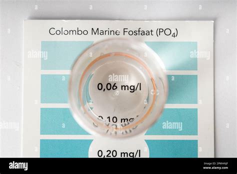 Colorimetric Phosphate Test Used To Measure The Phosphate Level In Marine Aquarium Water Stock
