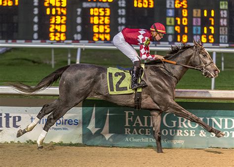 Swot Analysis Essays The Ontario Derby West Point Thoroughbreds