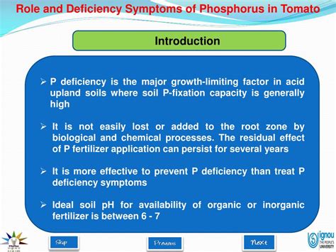 Ppt Role And Deficiency Symptoms Of Phosphorus In Tomato Powerpoint