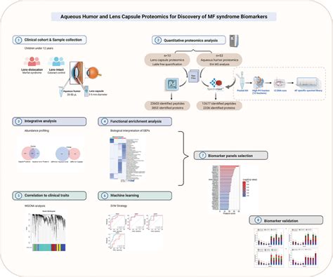 Overview Of The Study Workflow Download Scientific Diagram