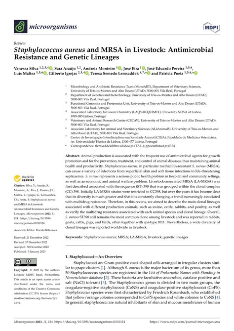 Pdf Staphylococcus Aureus And Mrsa In Livestock Antimicrobial Resistance And Genetic Lineages