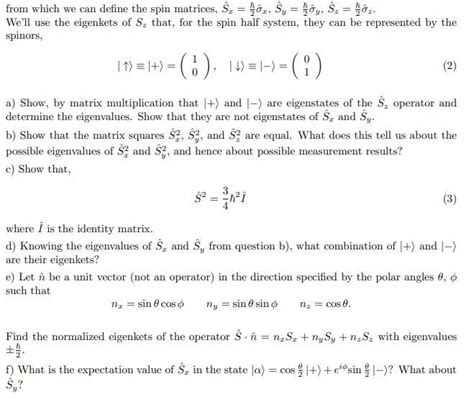 Solved Spin System Points The Pauli Matrices Are Chegg Com