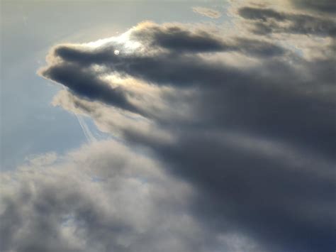 Dragon Wolf R Hornedserpent