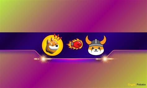 Bonk Inu Bonk Flips Floki Inu Floki After A 55 Surge In Two Weeks Details