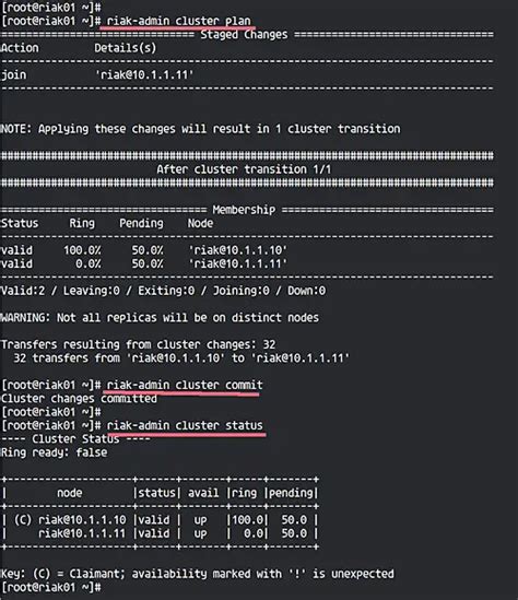 How To Setup Riak Kv Nosql Database Cluster On Centos 7 Cộng Đồng Linux