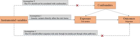 schematic diagram showing the assumptions of mendelian randomization