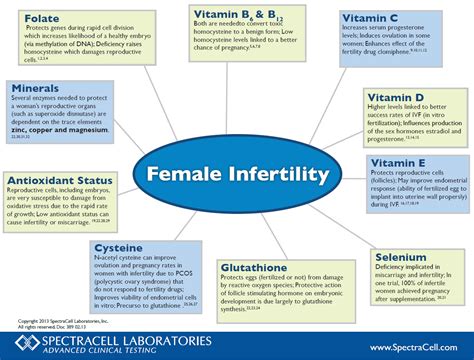 What Is Nutrient Density And Why It Matters Optimising Nutrition