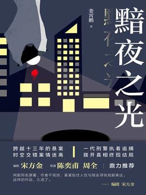 黯夜之光尘封十三载 娄霄鹏 电视剧尘封十三载原著小说免费在线阅读