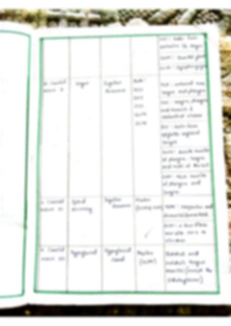 SOLUTION Cranial Nerves Studypool SOLUTION Cranial Nerves Studypool